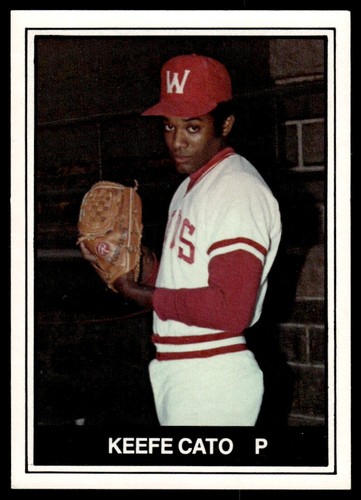1982 TCMA Waterbury Reds Keefe Cato Waterbury Reds #3 | eBay
