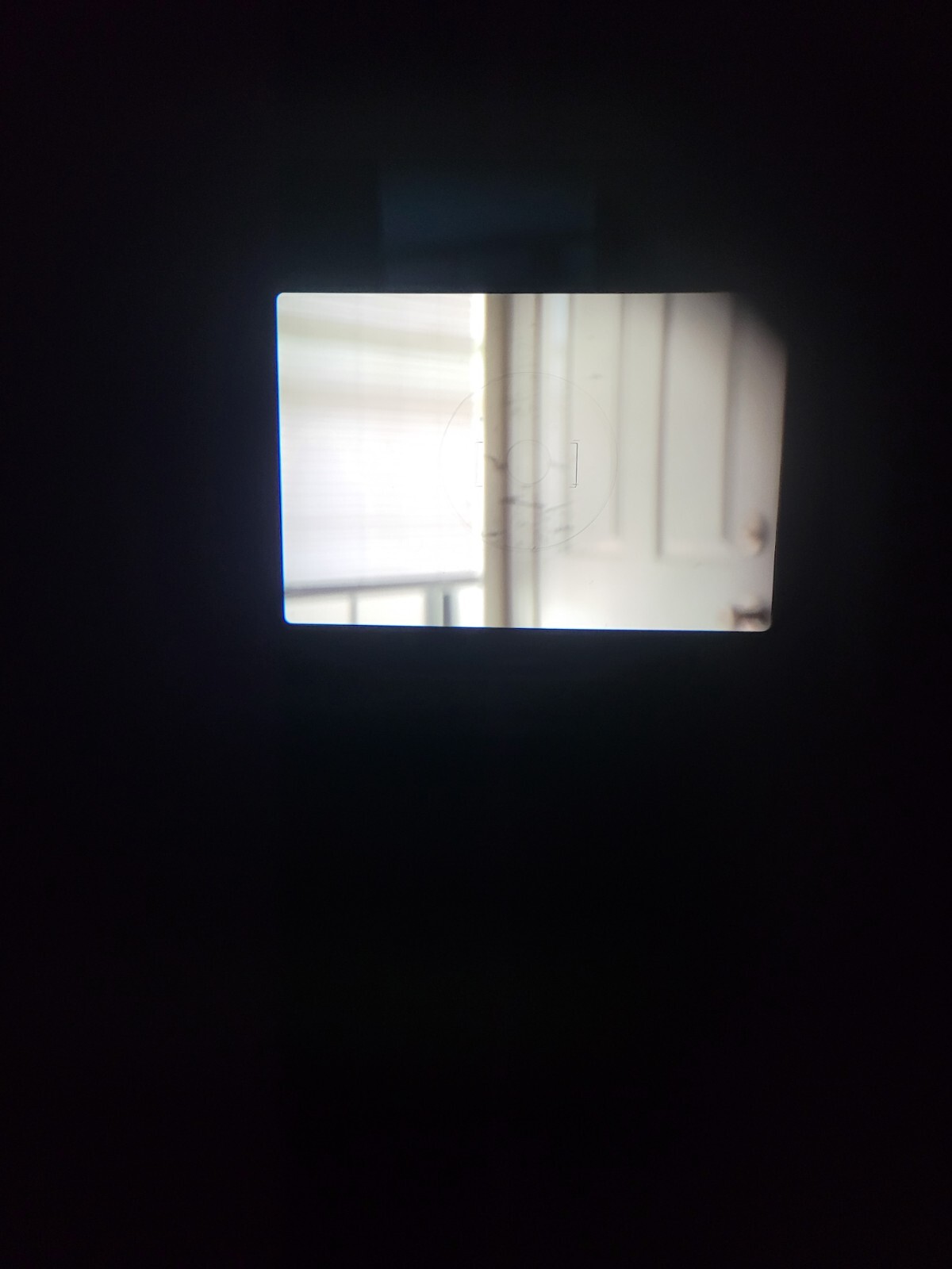 Nikon N90 Japan 35mm Camera, Nikkor 1:4.5-5.6D lens & AF Micro Nikkor ...