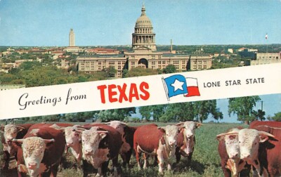 Postcard Greetings from Texas Banner | eBay