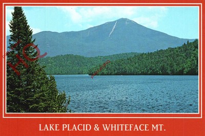 Picture Postcard_ New York, Lake Placid & Whiteface Mt | eBay