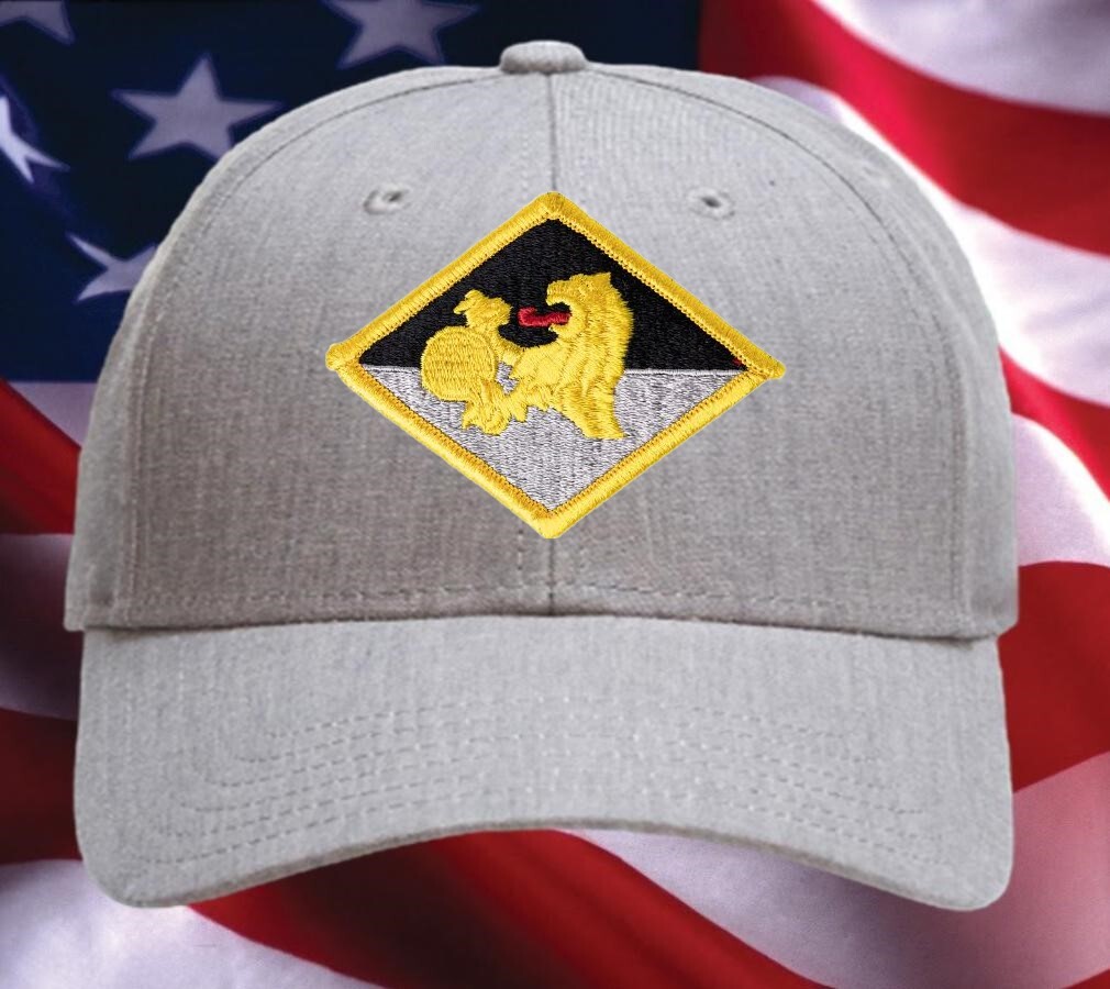 266TH FINANCE CENTER HAT PATCH CAP US ARMY OF ONE GIFT PIN UP WOW | eBay