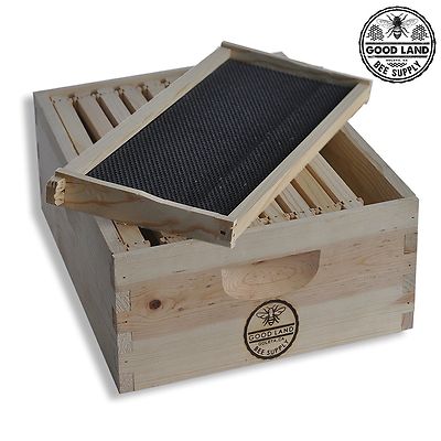 Beehive Brood Kit 10 Wood Frames & 10 Pierco Plastic Foundations Spacer ...