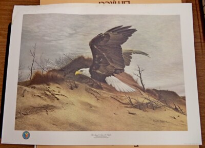 THE GENERAL ADNA R CHAFFEE AMERICAN BALD EAGLE LIMITED SIGNED EDITION ...