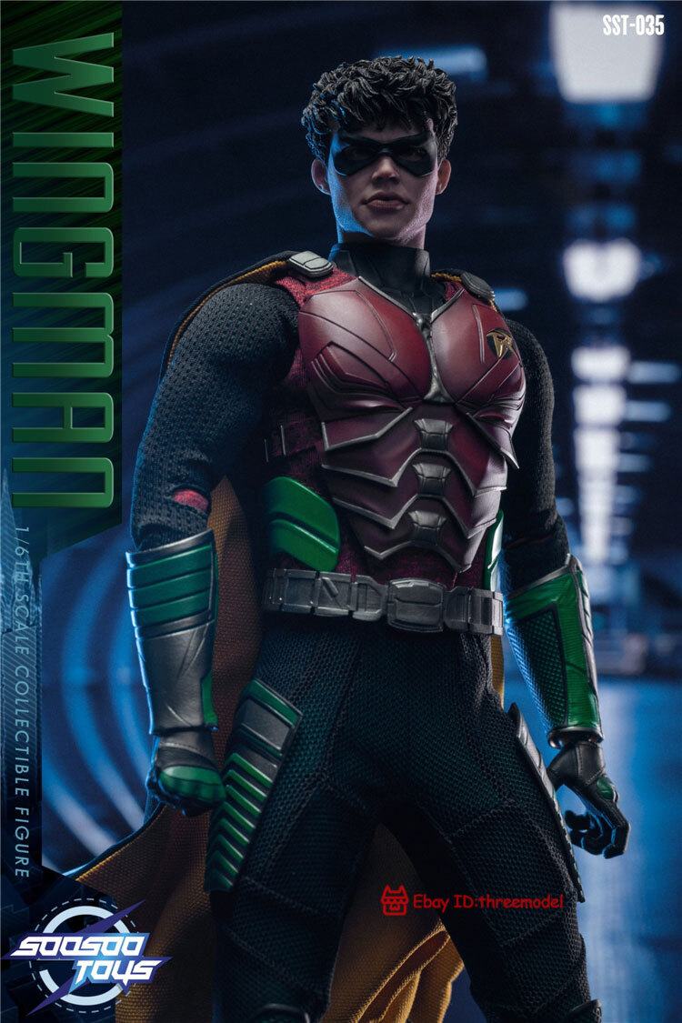 Soosootoys SST-035 1/6Scale Wingman PVC Action Figure In Stock | eBay