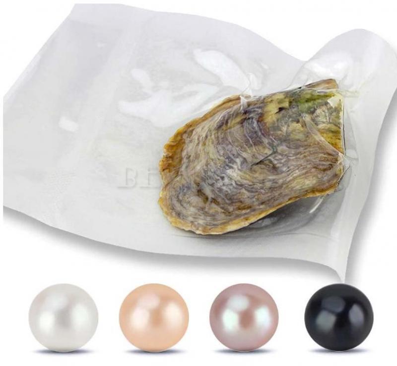 10PCS Natural Akoya Pearl Oysters Real Pearl Freshwater Pearl Holiday ...