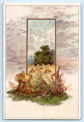 Advertising Victorian TRADE CARD Meriden CT Drink Union Chop Tea Fall ...