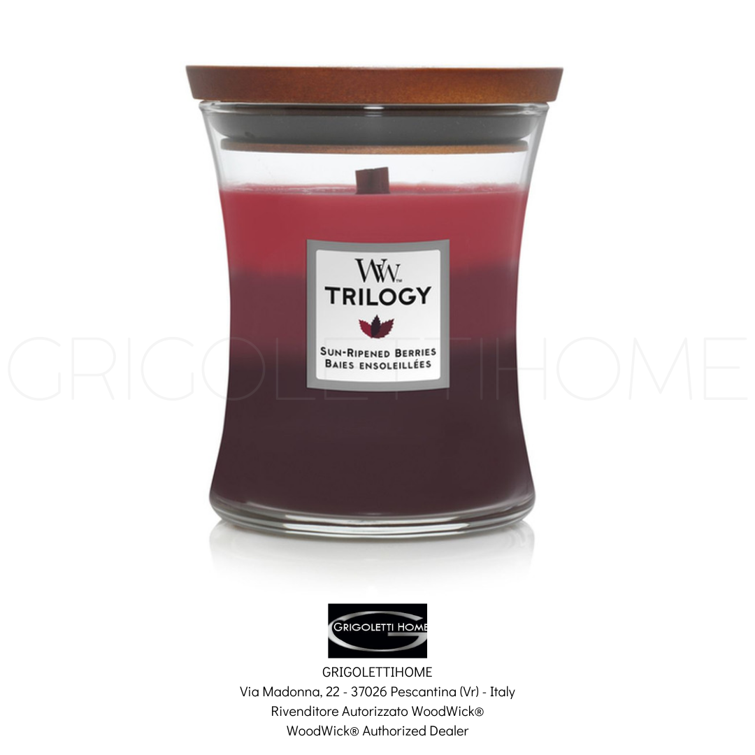 Woodwick - Hourglass Candle Medium - Trilogy Sun Ripened Berries | eBay