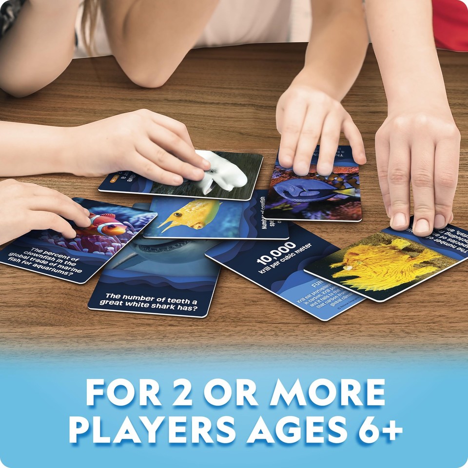 National Geographic Anyone's Guess Ocean Animals Trivia Cards - Kids Trivia C... 810070624088| eBay