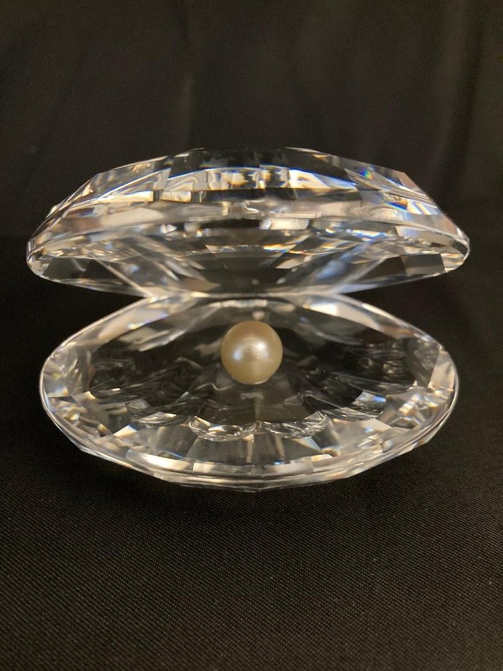 Swarovski Crystal CLAM SHELL WITH PEARL # 7624 - MINT With Box, COA ...