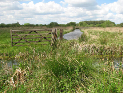 Photo 6x4 Draining the marshes Surlingham The Wherrymans Way leads past ...