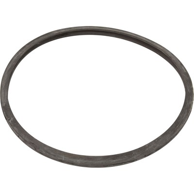 Gasket, Purex 15B0069/10276/70101, Sand Filter Lid | eBay