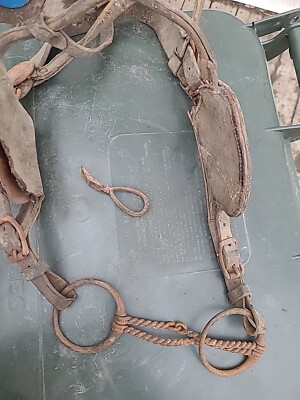 Wall Decor Antique Horse Old Timer Driving Headstall W/Bit and Blinders ...