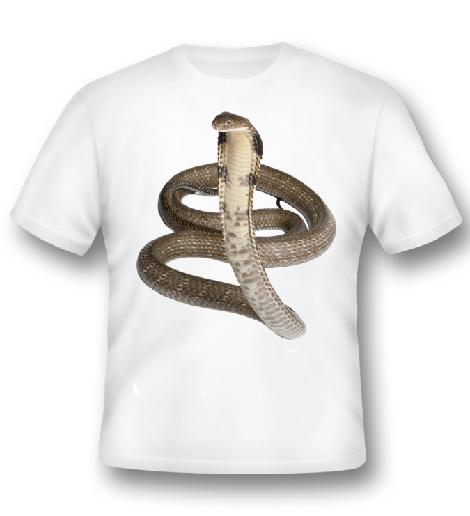 Childrens TOP Kids Child's Personalised Cobra Snake T Shirt Great ...