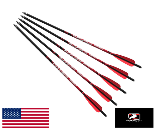 Barnett Headhunter 20" Carbon Crossbow Arrows 5-Pack - Half-Moon Nock ...