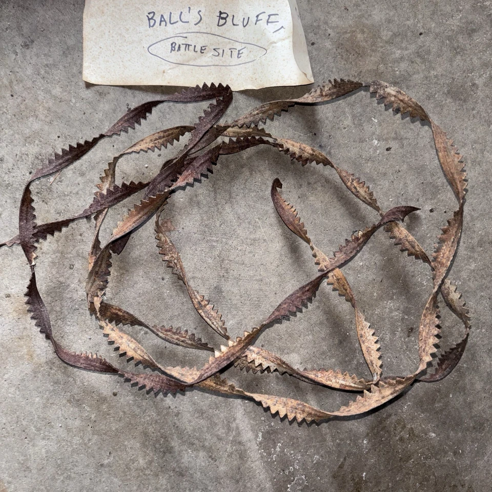 Antique Barbed Wire for sale | eBay