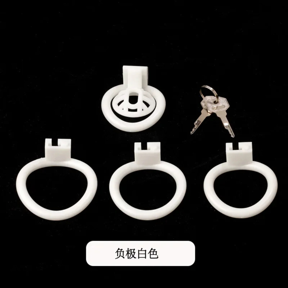 New Positive/negative Chastity Cage Lock with 4 Rings Sissy Inverted ...