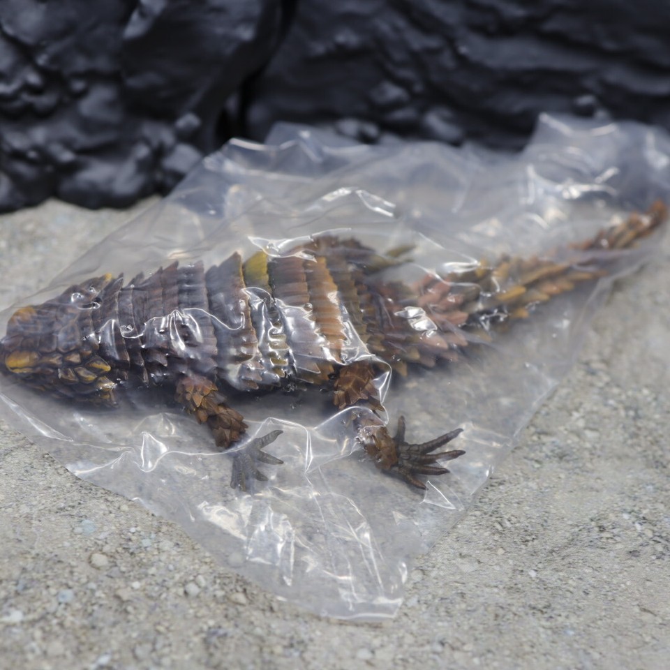 Bandai Gashapon Gecko SELECTED EDITON Action Figure Armadillo Lizard ...