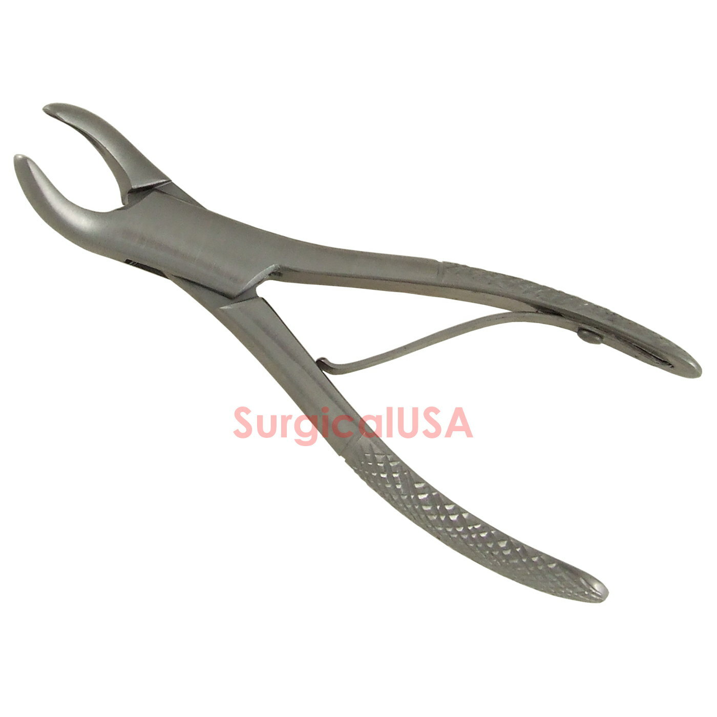 Extracting Forceps 151 1/2S Serrated Spring Handle Dental Surgical ...