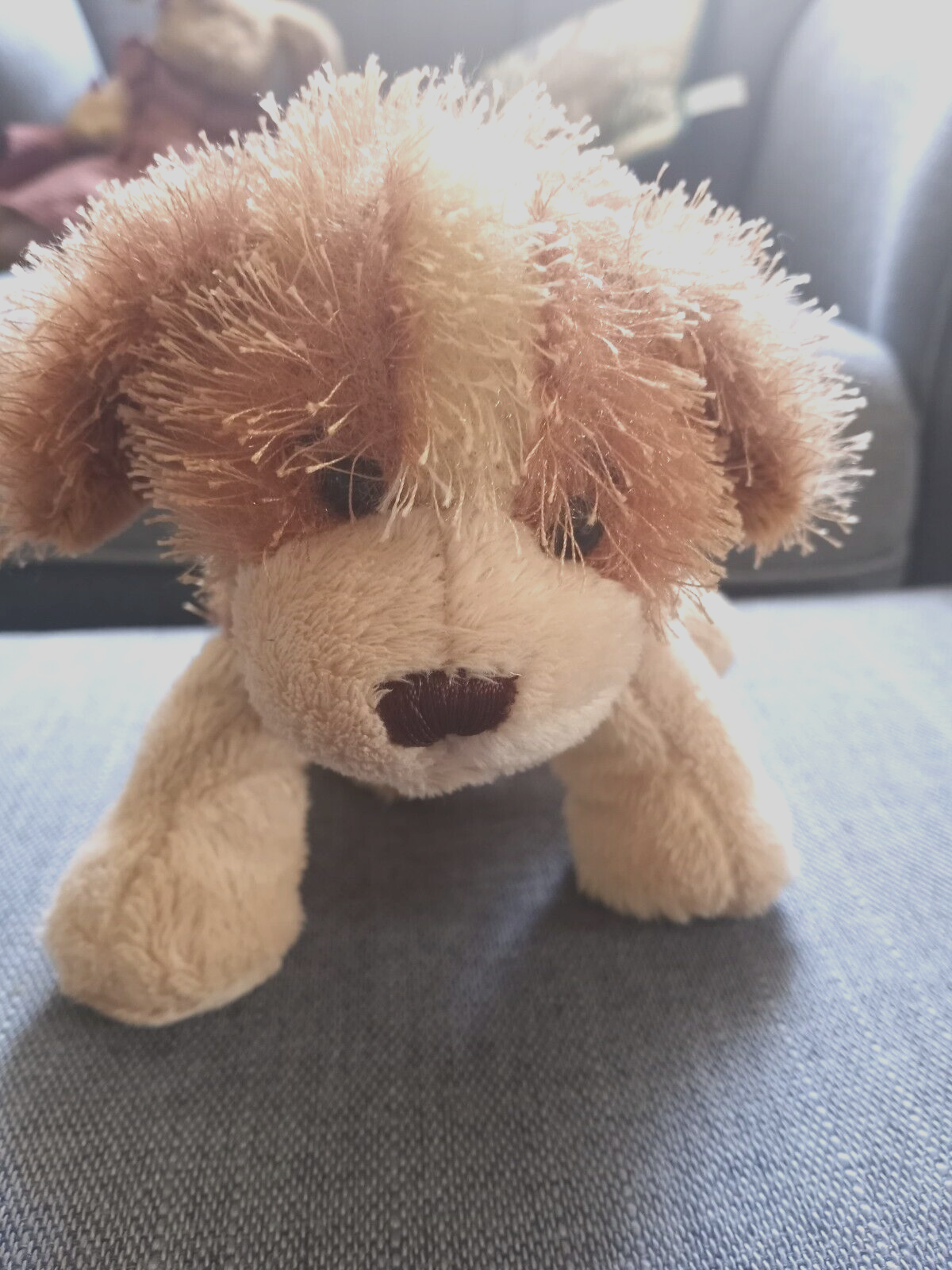 Ganz Webkinz LIL KINZ Cocker Spaniel Dog HS011 Retired Plush Puppy Toy ...