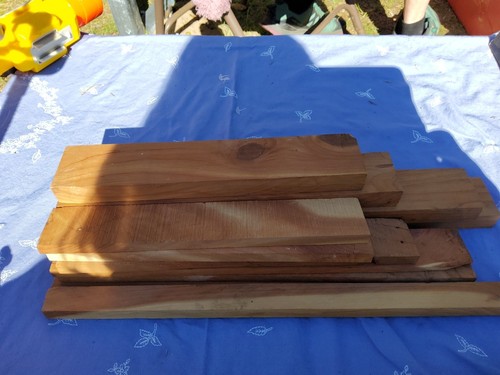 Lot Of 11 Black Walnut Pieces Air Dried Wood | eBay