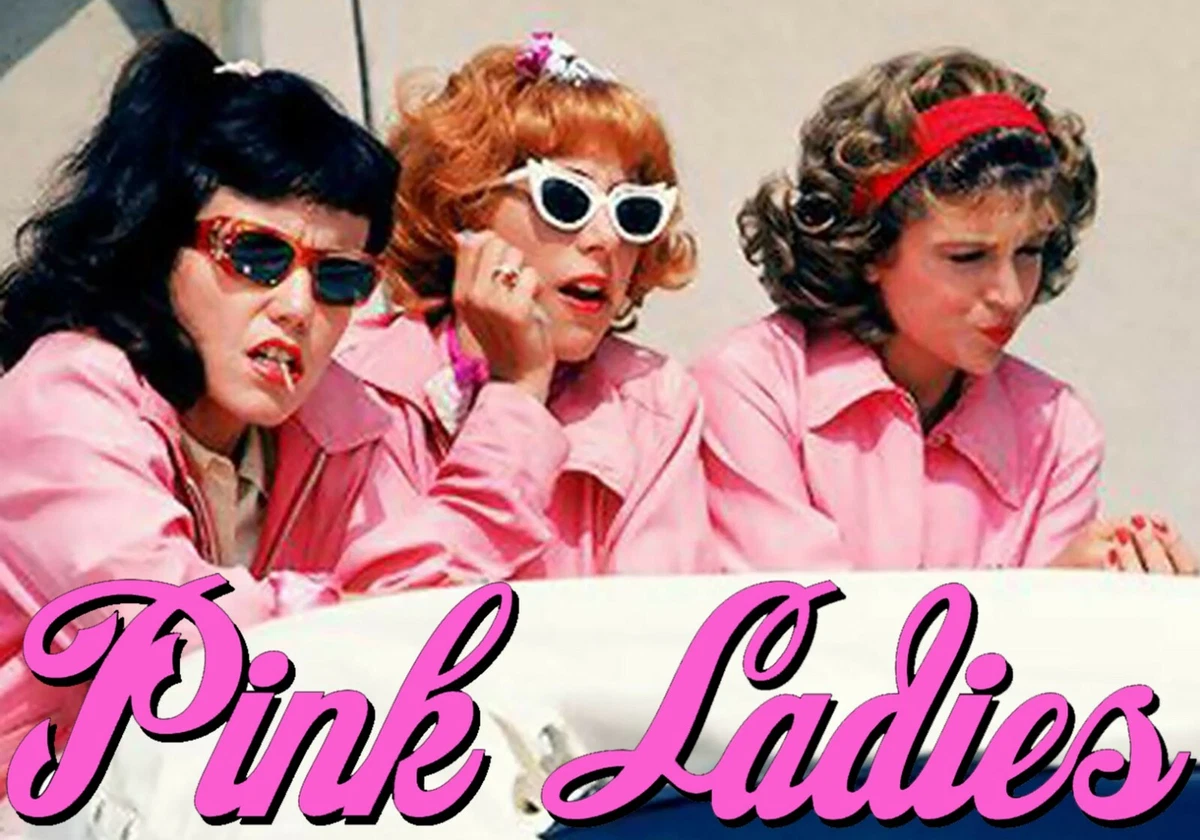 Pink Ladies Iron On Transfer