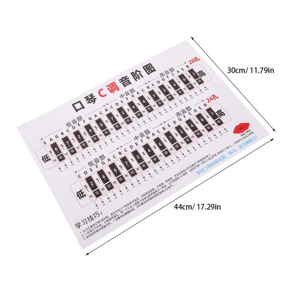 2 Pcs Harmonica Learning Aid Stickers Beginner's Poster Blues Scale ...