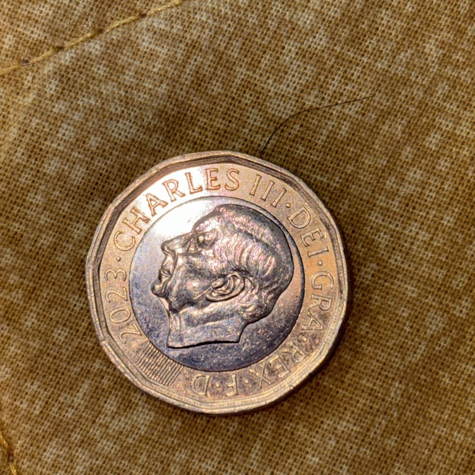 King Charles III £1 Bees Coin | eBay UK