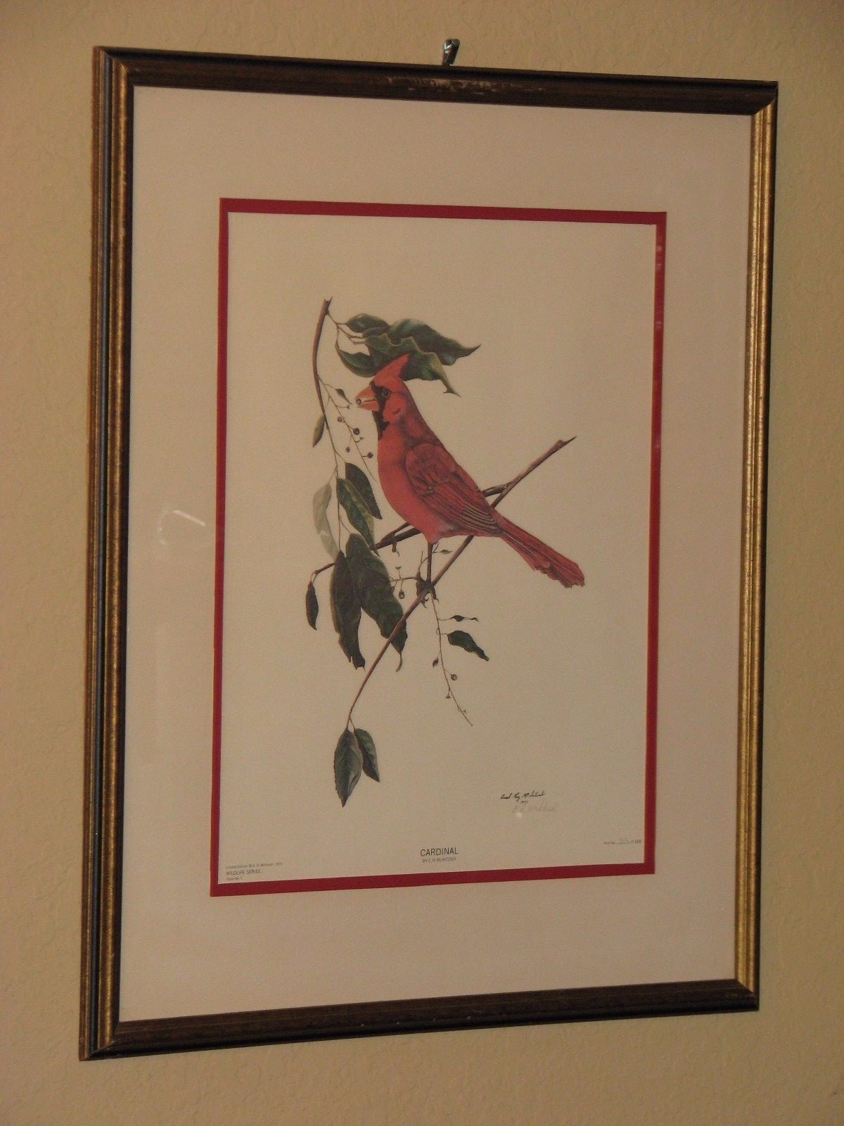 E. R. McIntosh Limited Edition Signed Cardinal Print | eBay