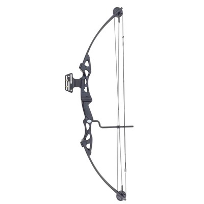 Siege 55 lb 29'' Compound Bow Target (Black) | eBay