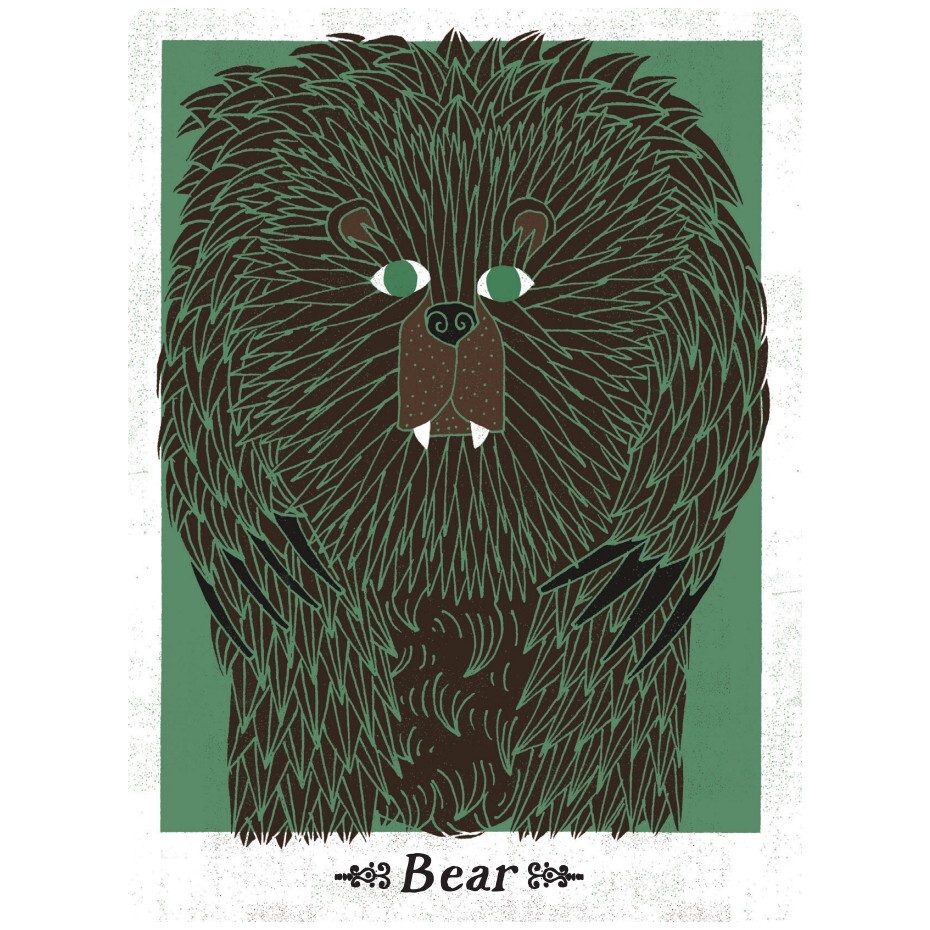 Folklore Oracle cards Deck Mike Bass 60 Divination Watkins Publishing ...