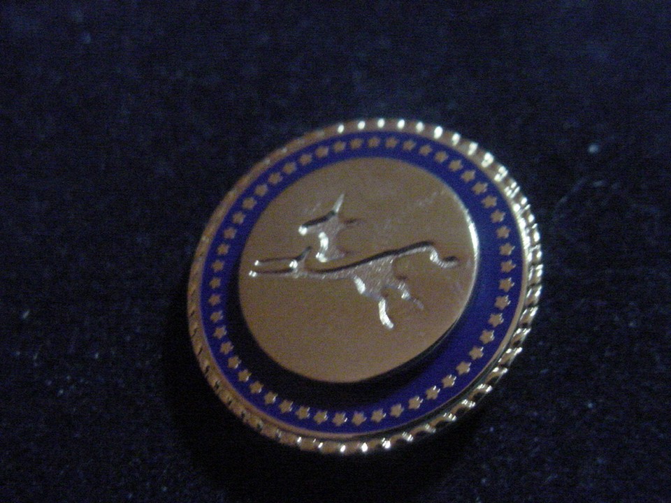 Presidential Democrat Lapel Pin. Free shipping in the US. | eBay