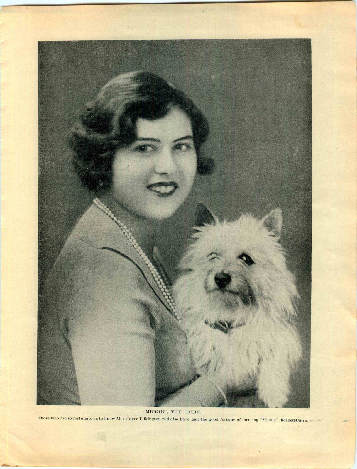 1930 Book Plate Print Cairn Terrier Mickie Joyce Pilkington Baroness ...