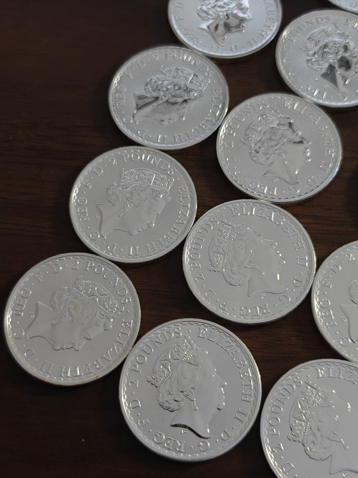 25 x 1oz Silver Britannia Coins (2019) – 25oz .999 Fine Silver ...