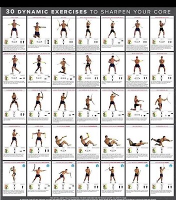 Bodyblade Classic 48" Body Blade Cardio Fitness Exercise Strength ...