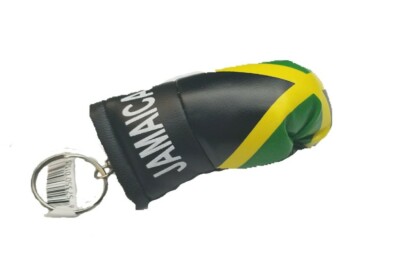 2pc. Jamaica Jamaican Flag Keychain Boxing Glove Mini Key Chain Ring ...