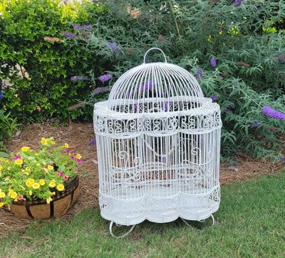 Rare XL Victorian Scallopped Oval White Iron Bird Cage | eBay