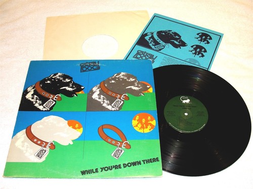 Stray Dog "While You're Down There" 1974 Hard Rock LP, Nice EX!, +Promo ...