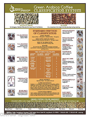 Green Arabica Coffee Classification / Defect Poster- scaa | eBay Australia