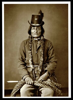 ⫸ 902 Postcard LONG SOLDIER Hunkpapa Indian Chief 1874 Photo by O.S ...