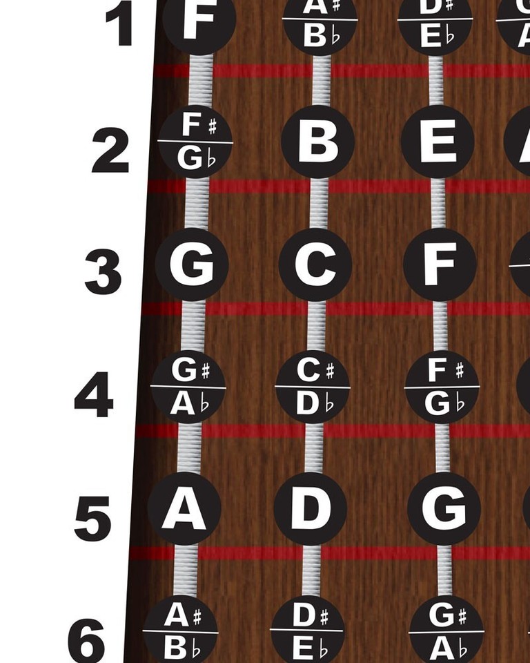 Upright Standup Bass Fingerboard Instructional Poster Notes Theory Wall ...