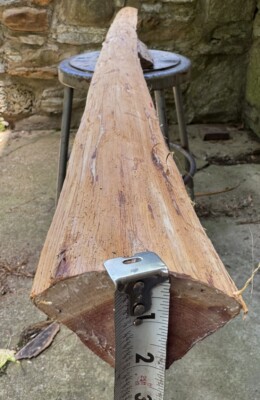 72.5” Eastern Red Cedar Bow Stave/ Bow Making Wood/ Bow Staves/ Juniper ...