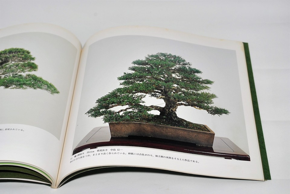 12th Japan Bonsai Professional Exhibition Catalog - NIPPON BONSAI ...