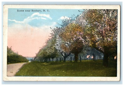 1922 Scene Near Roxbury New York NY, Road And Tress West Oneonta ...