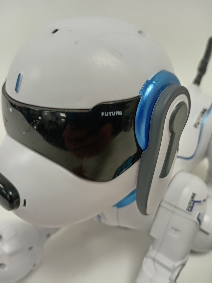 FUTURE RC Robot Dog Toy With Remote Control - Interactive Pet Robot ...