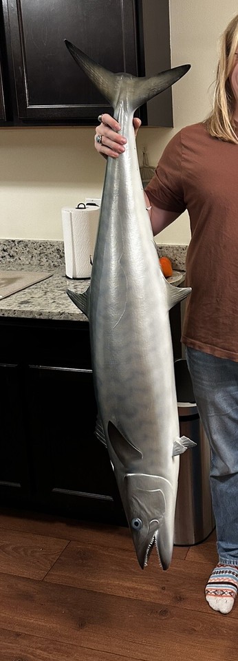 52" Kingfish Two Sided Fish Mount Replica - Quick Production | eBay