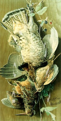 ANTIQUE HUNTING REPRO PHOTO PRINT DEAD HANGING GAME RUFFED GROUSE AND ...