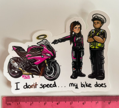 R1Liz Stickers - S1000RR, Panigale, GS Cartoon Stickers | eBay