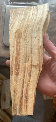1lb 9.7oz Premium Pure Hot Lasting Fatwood Log All Natural Safe Easy | eBay