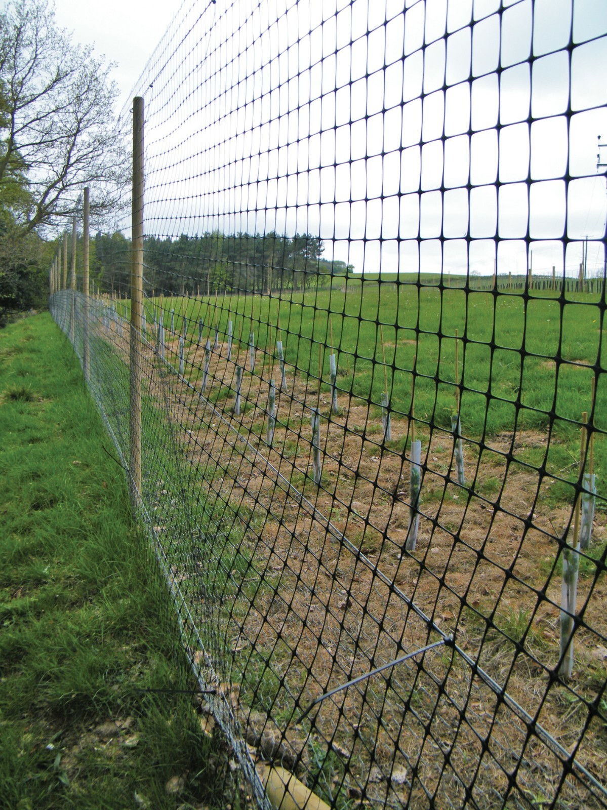 1.8m x 100m Deer Deterrent Fencing Netting Pheasant Poultry Game Black ...