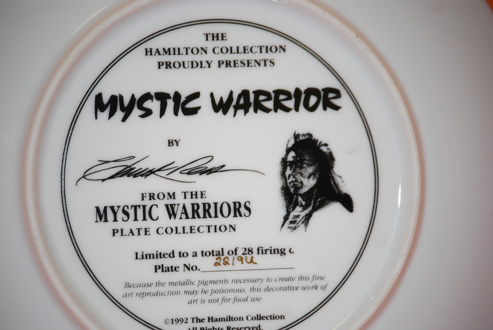 "Mystic Warrior" 1992 Hamilton Collection Indian Plate | eBay